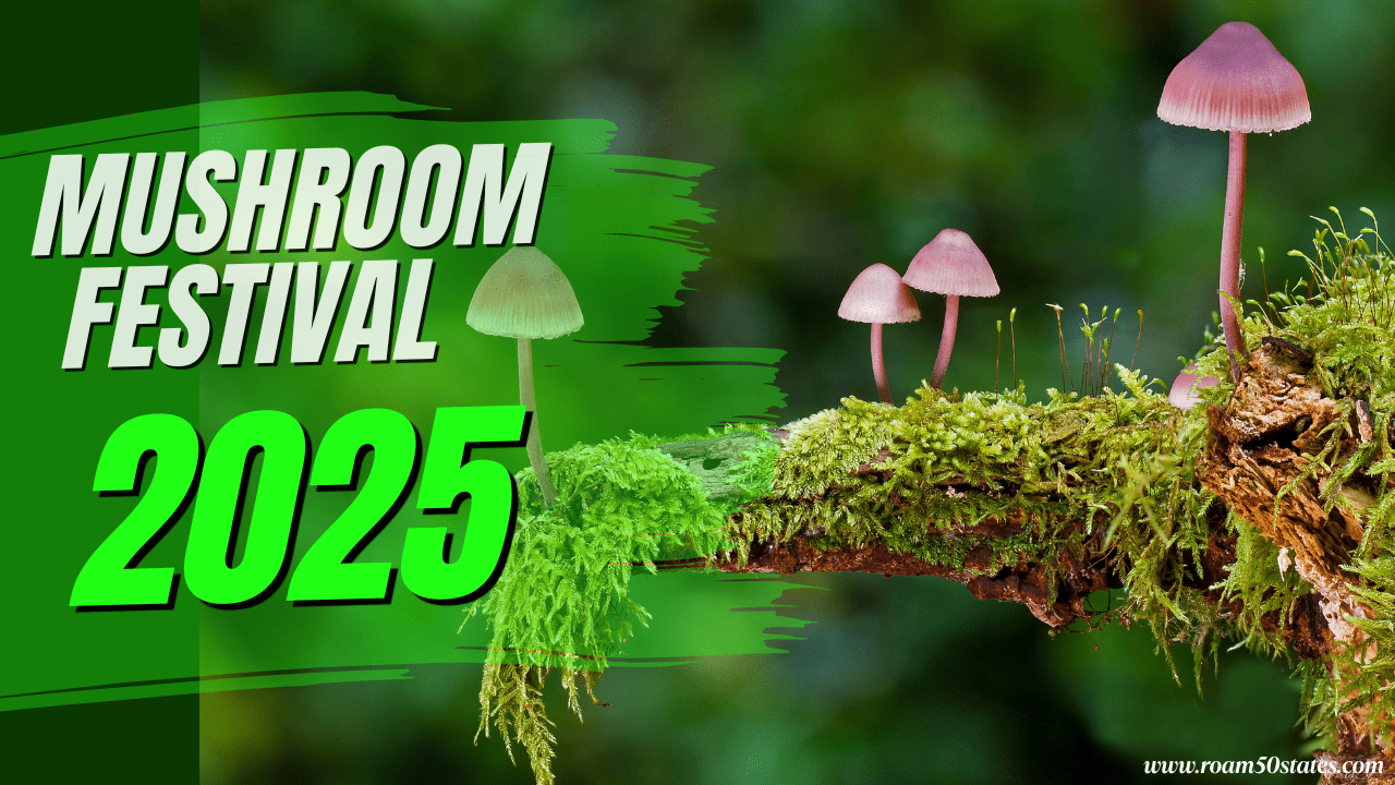 Mushroom Festival 2025: Dates, Venue, and Travel Tips